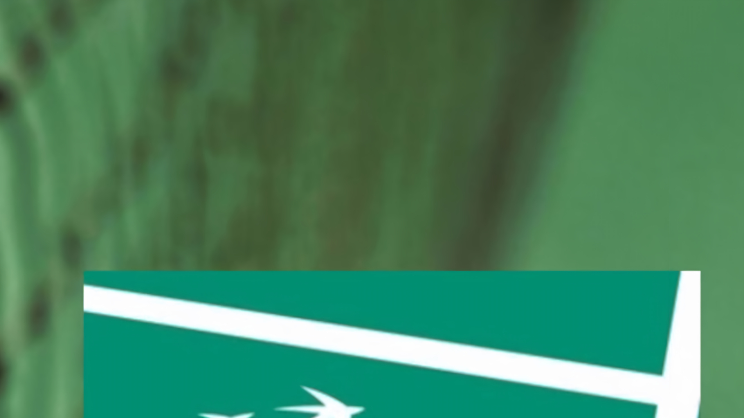 Davis Cup | Telly